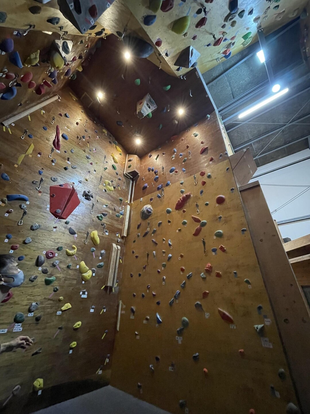 やっぱり大好きリードジム♡♡ / さとちゃん(iotan)さんの油山・荒平山・片縄山の活動データ | YAMAP / ヤマップ