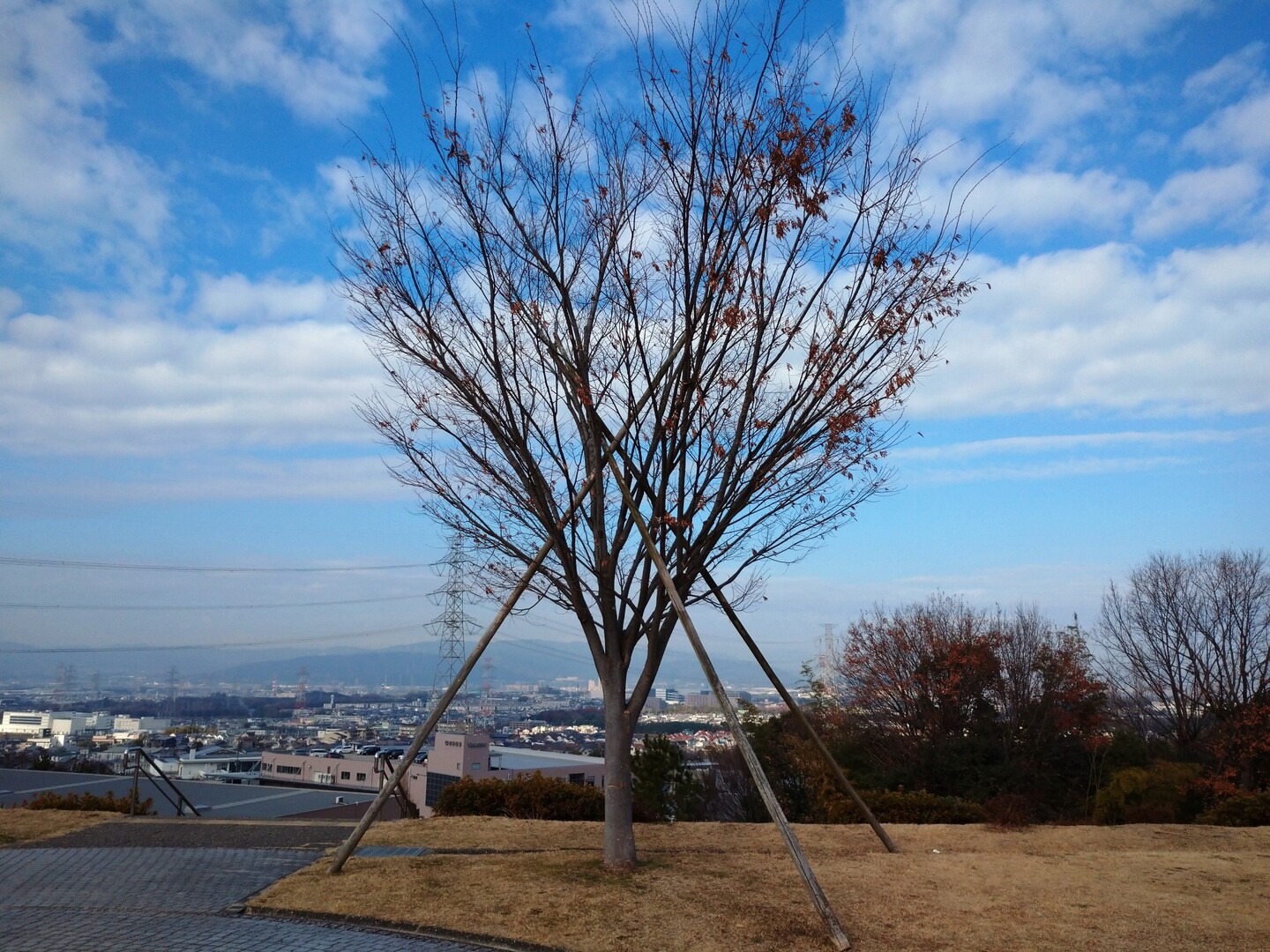 空見の丘公園-2021-12-24 / chonpsさんの交野山・国見山の活動データ | YAMAP / ヤマップ