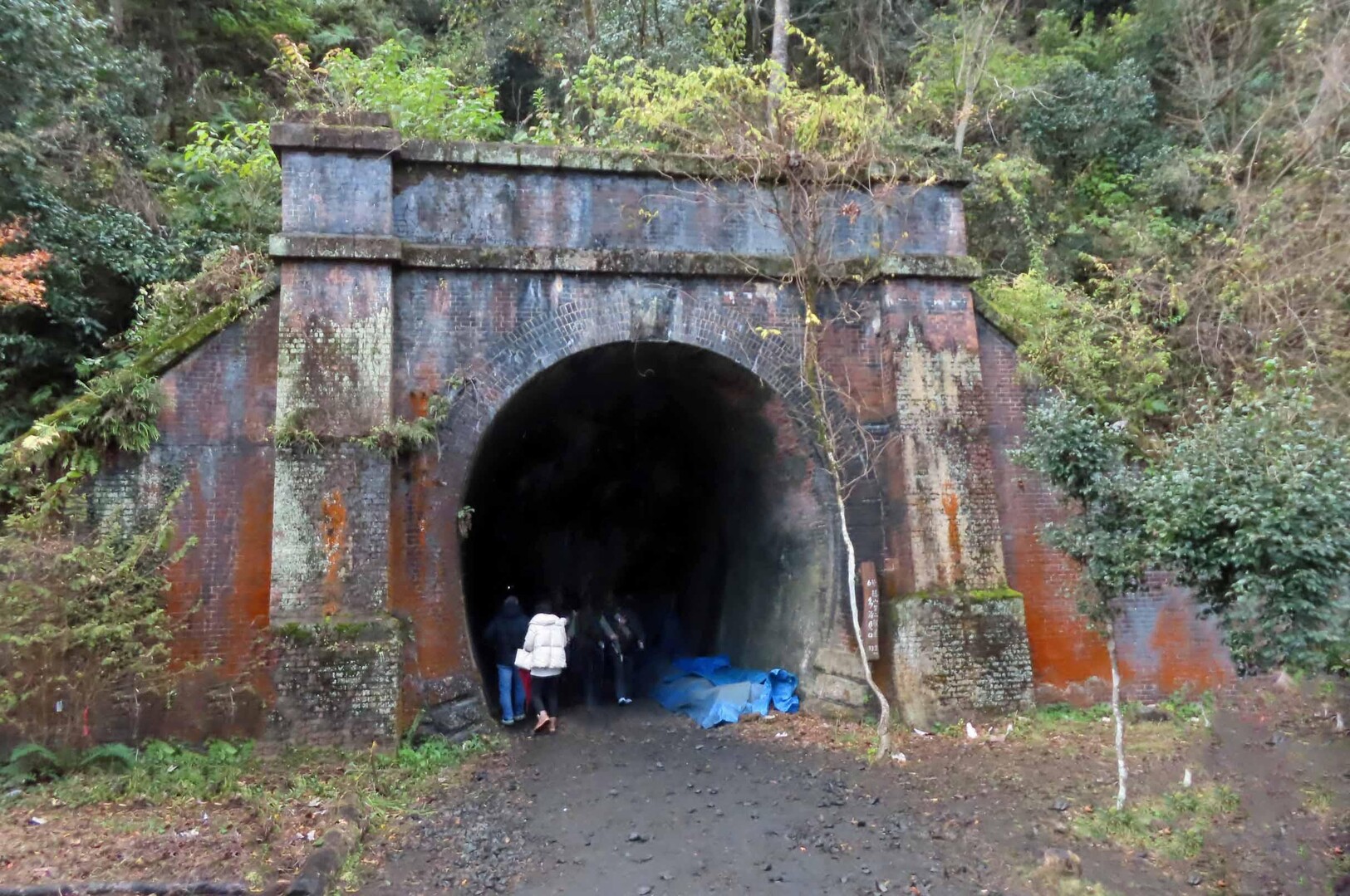 秋の愛岐トンネル / ss5さんの春日井三山・弥勒山・大谷山・道樹山の活動日記 | YAMAP / ヤマップ
