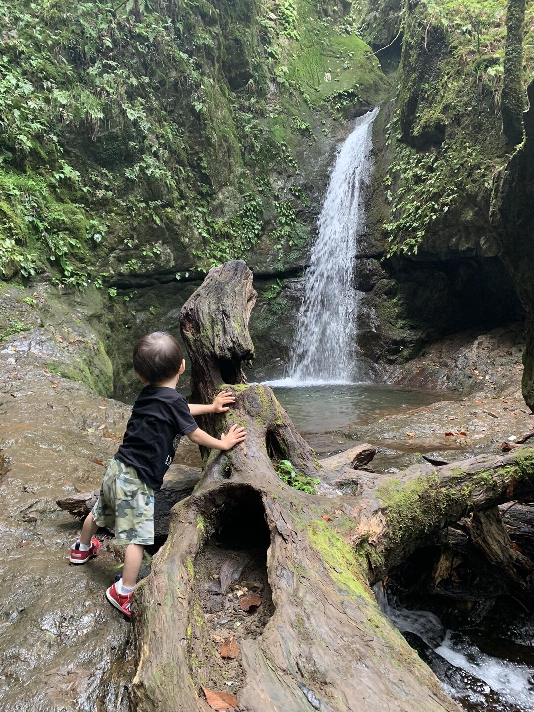 御岳山とロックガーデン / KO&momさんの大岳山・御岳山・御前山の活動データ | YAMAP / ヤマップ