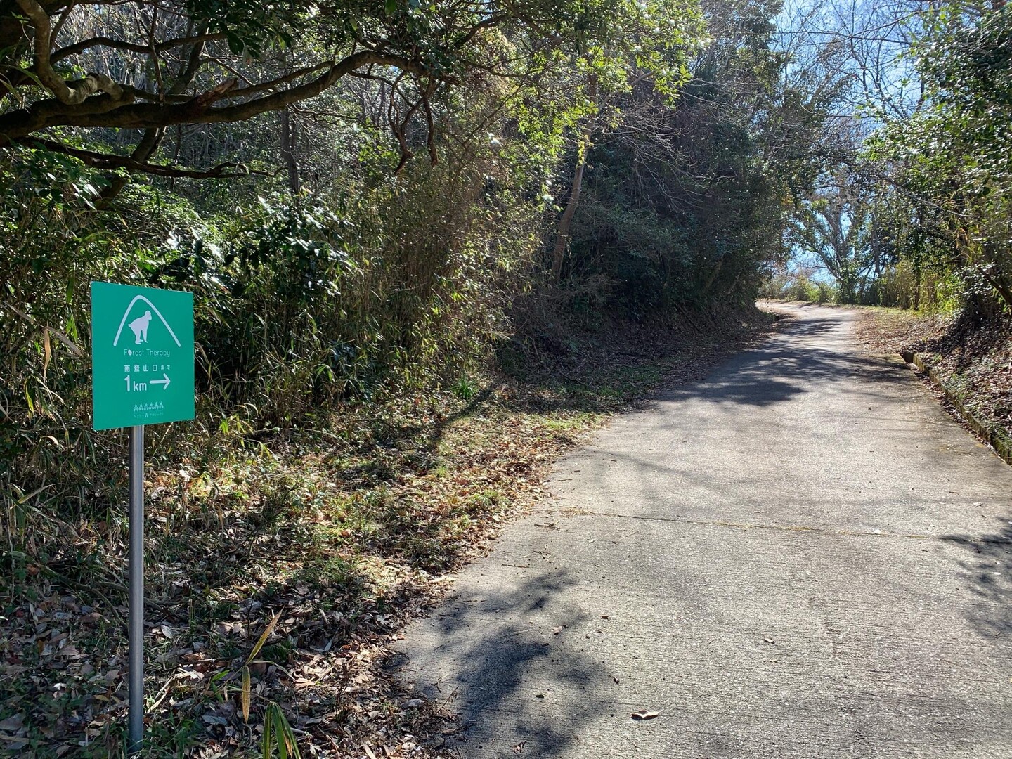 HALさんの投稿したフィールドメモ | YAMAP / ヤマップ