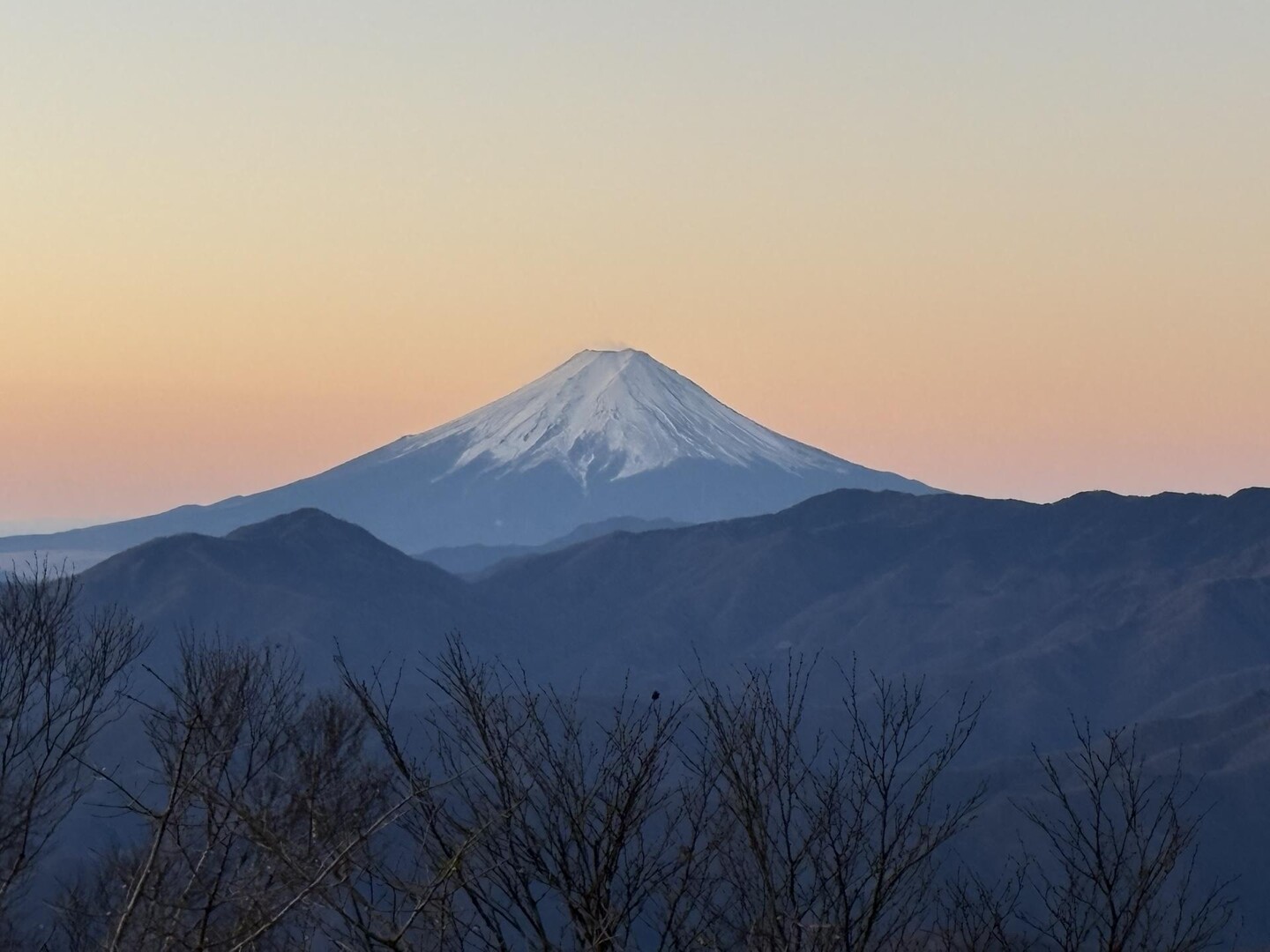 雲取山 三峰神社→鴨沢BS / yukiさんの雲取山・鷹ノ巣山・七ツ石山の活動データ | YAMAP / ヤマップ