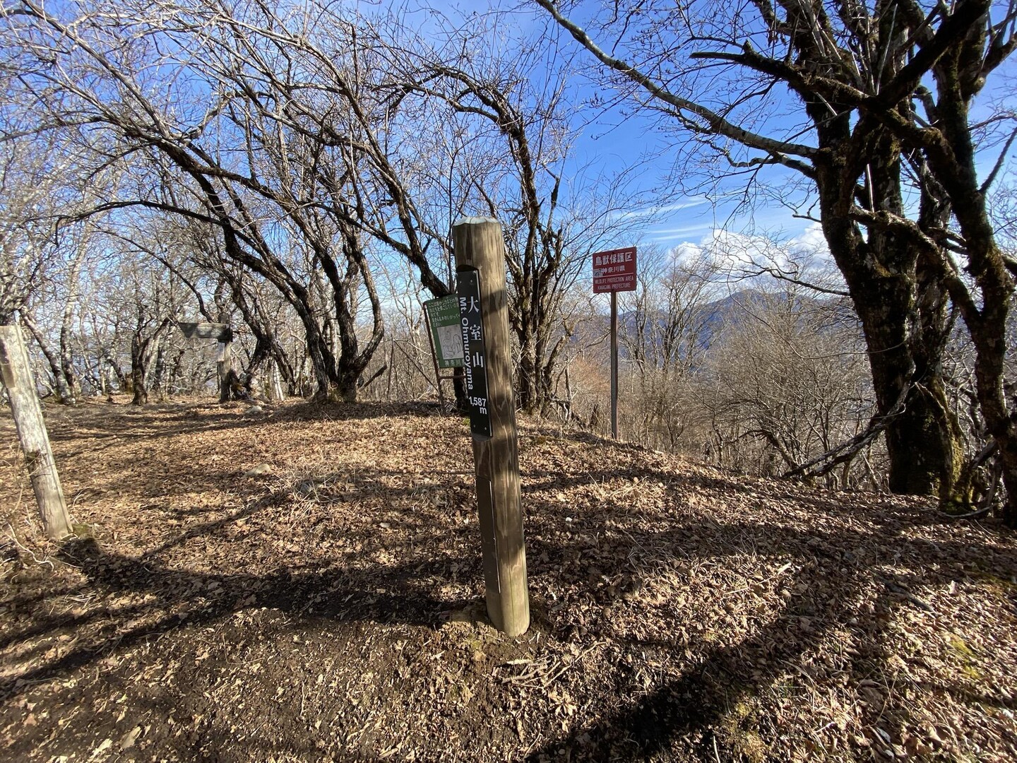 🥾大室山(道志みち側から) / sato-chanさんの大室山・畦ヶ丸山・菰釣山の活動データ | YAMAP / ヤマップ