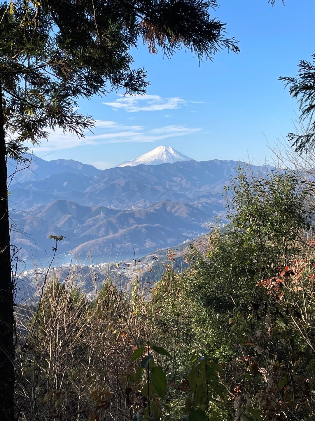 城山（小仏城山）・雷岩山・春日山・高尾山 / oyanさんの高尾山・陣馬山・景信山の活動データ | YAMAP / ヤマップ