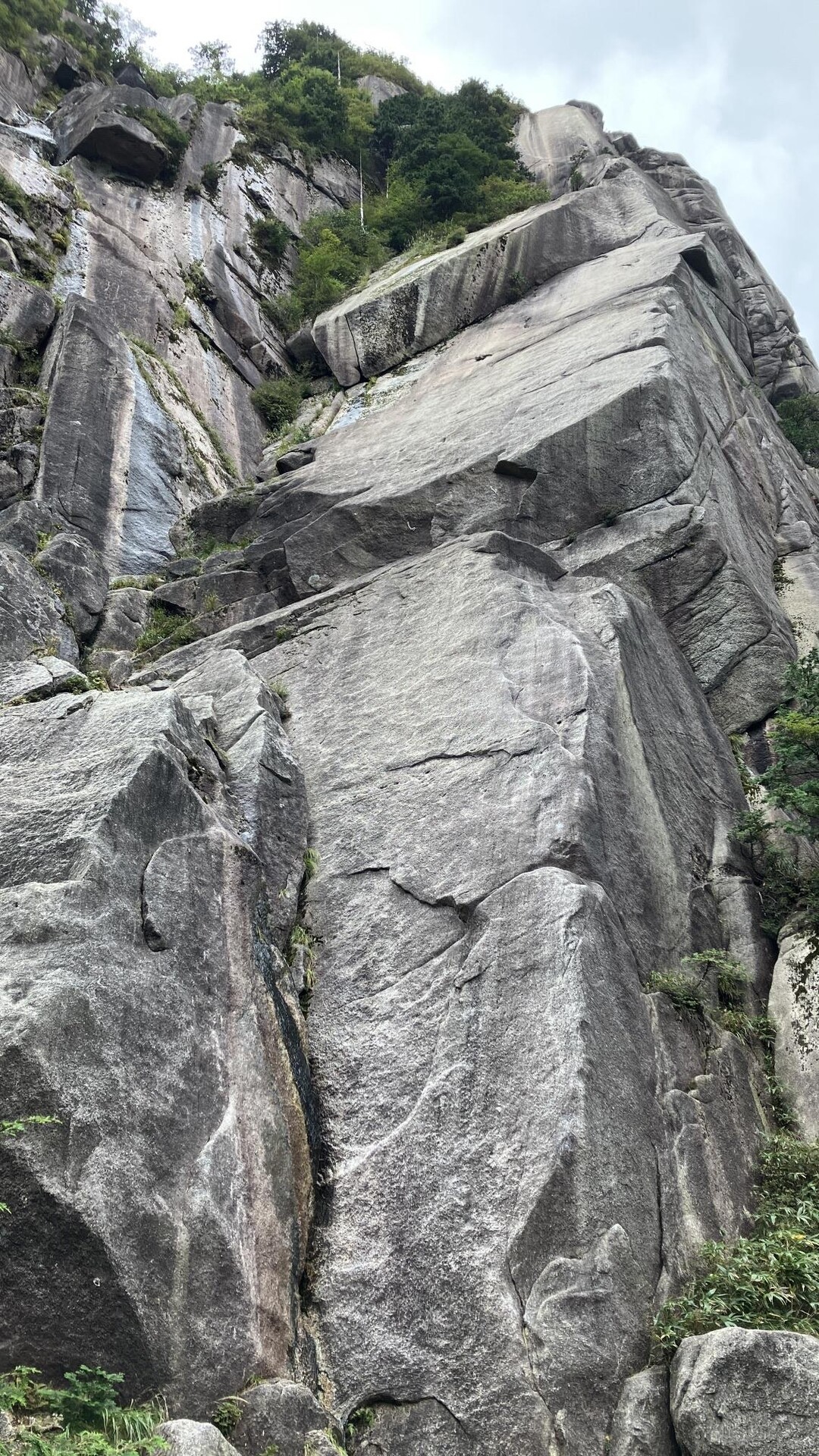御在所岳のバットレスにあるカリフォルニア... / 6DMEさんのモーメント | YAMAP / ヤマップ