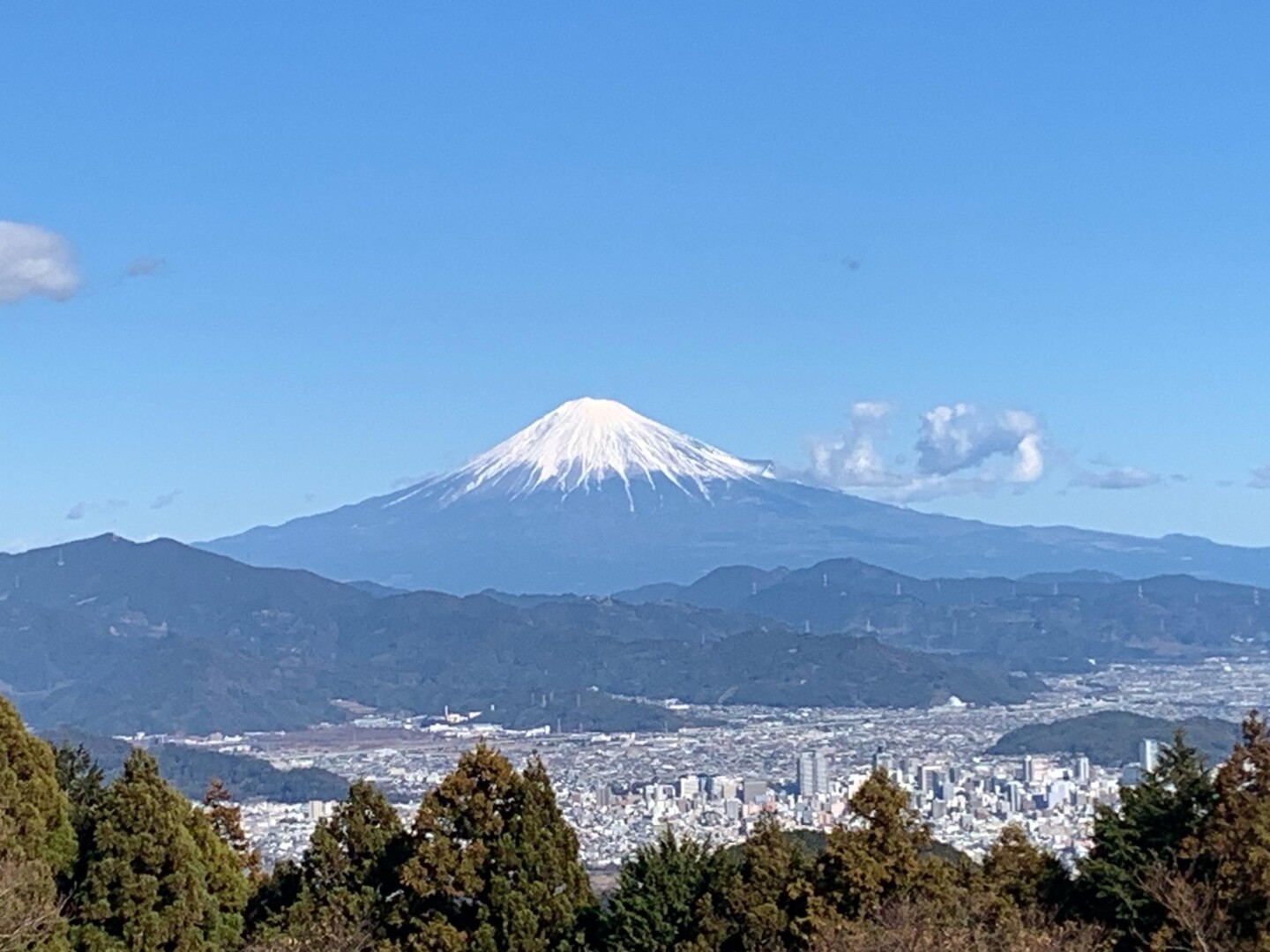 花沢山・満観峰・大ベラ山・高草山(東峰)・高草山（西峰） / ma-tinさんの焼津アルプス（高草山・満観峰・花沢山）・徳願寺山の活動データ | YAMAP / ヤマップ
