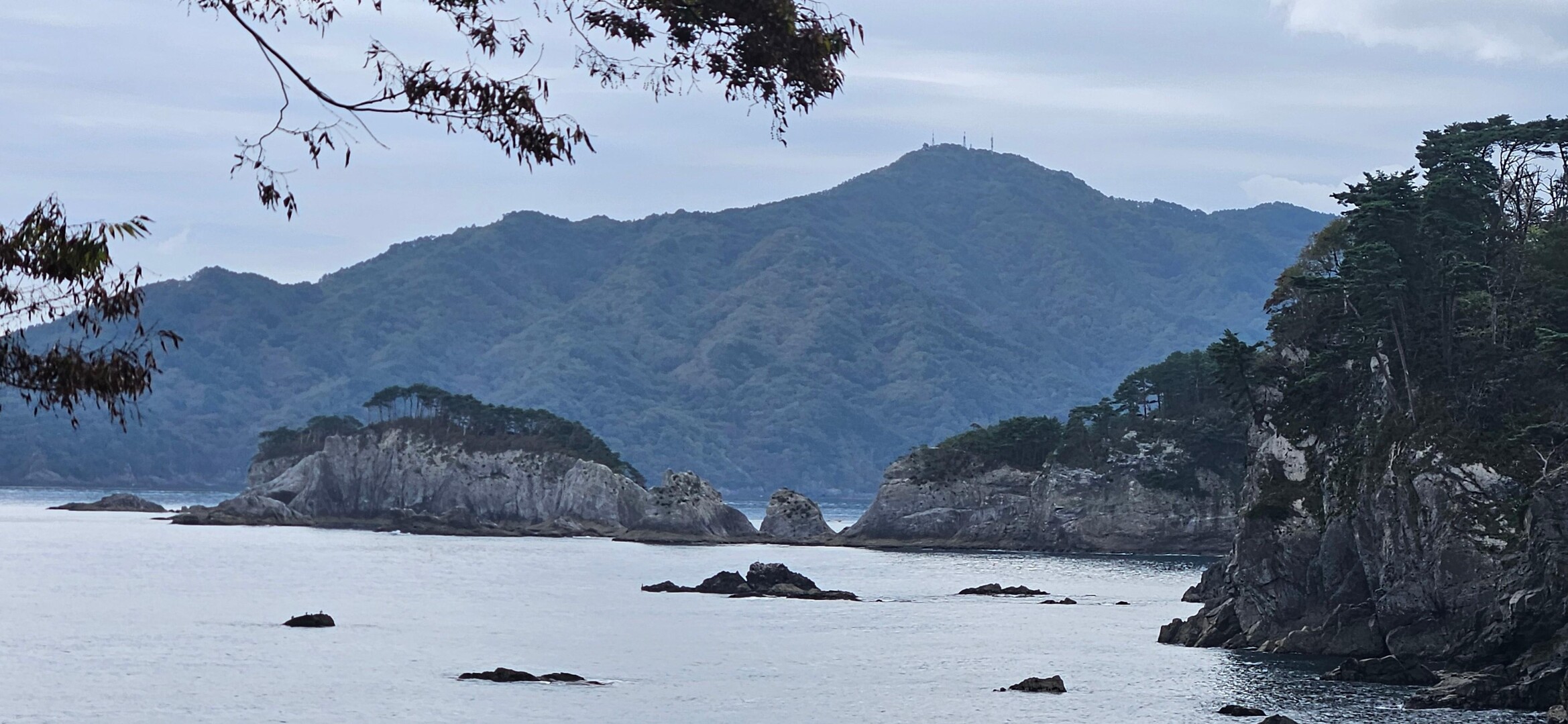 MCT月山(御殿山) 455m / ケンさんの月山の活動データ | YAMAP / ヤマップ