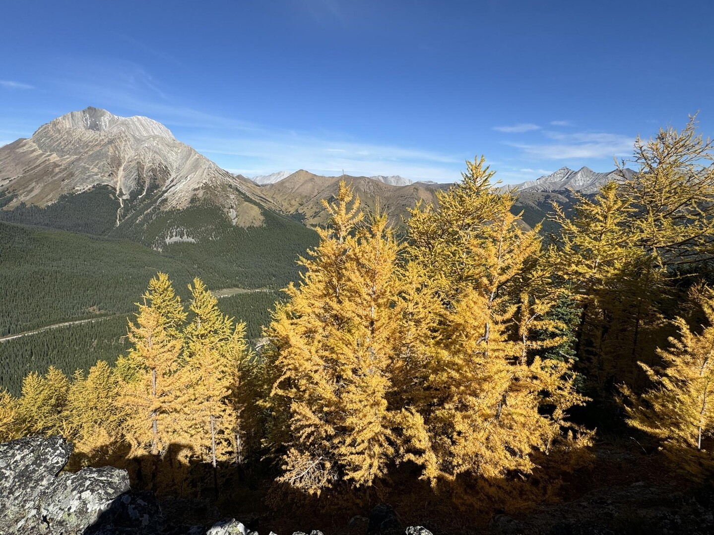 Odlum West Ridge / くまちゃんさんのピーター・ライード州立公園の活動データ | YAMAP / ヤマップ