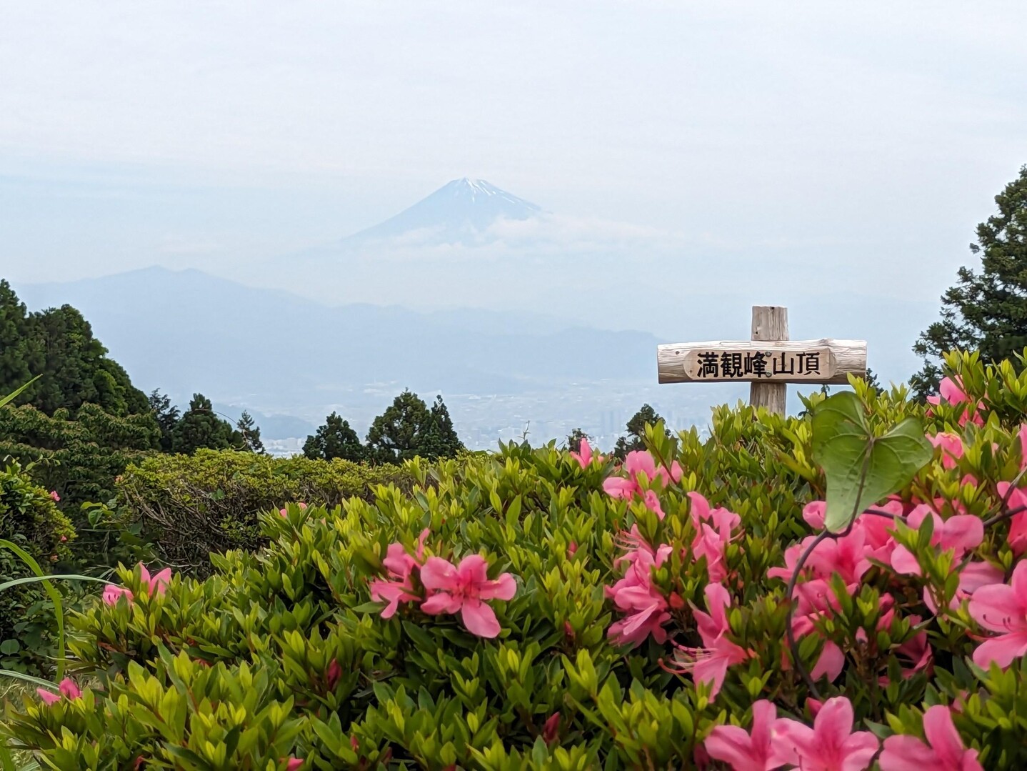 満観峰31 / AWA-MANさんの焼津アルプス（高草山・満観峰・花沢山）・徳願寺山の活動データ | YAMAP / ヤマップ