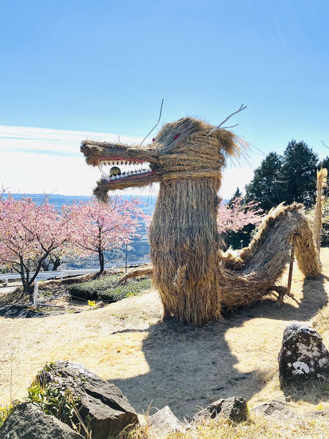 粟ヶ岳 / のじさんの粟ヶ岳の活動データ | YAMAP / ヤマップ