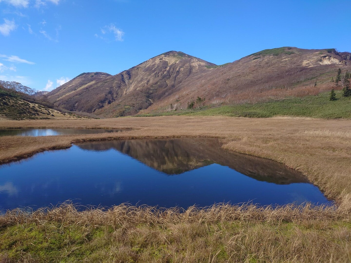 火打山 / de rosa SK17さんの妙高山・火打山の活動データ | YAMAP / ヤマップ
