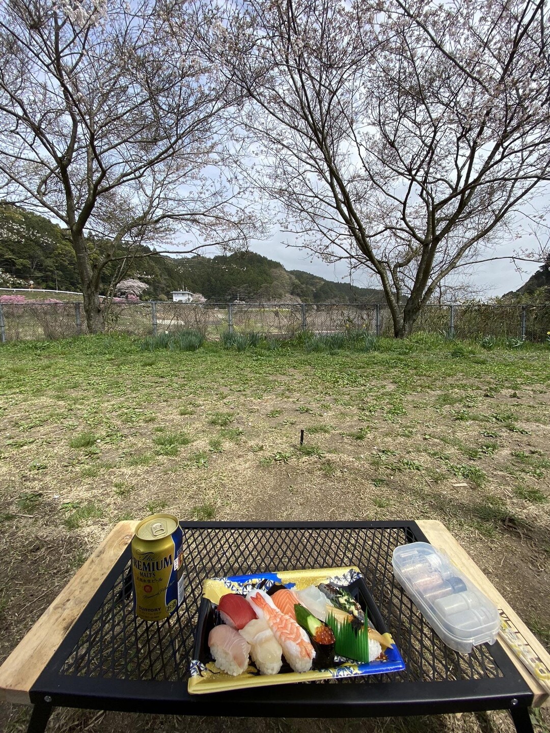 『お花見キャンプ⛺️』 めっちゃタイミ... / yasさんのモーメント | YAMAP / ヤマップ