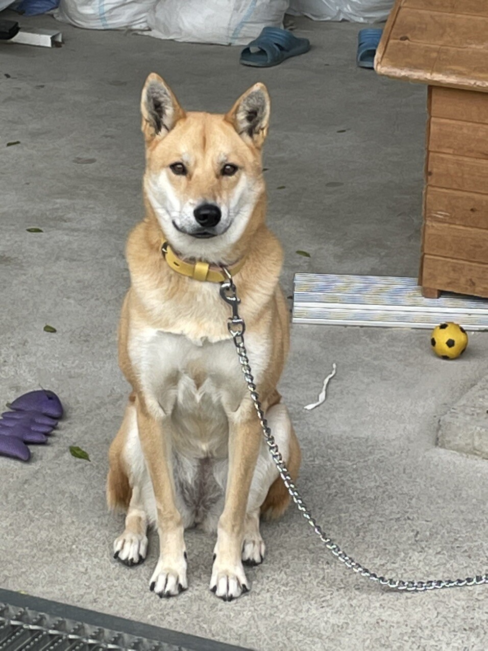 toyoのページ | YAMAP / ヤマップ