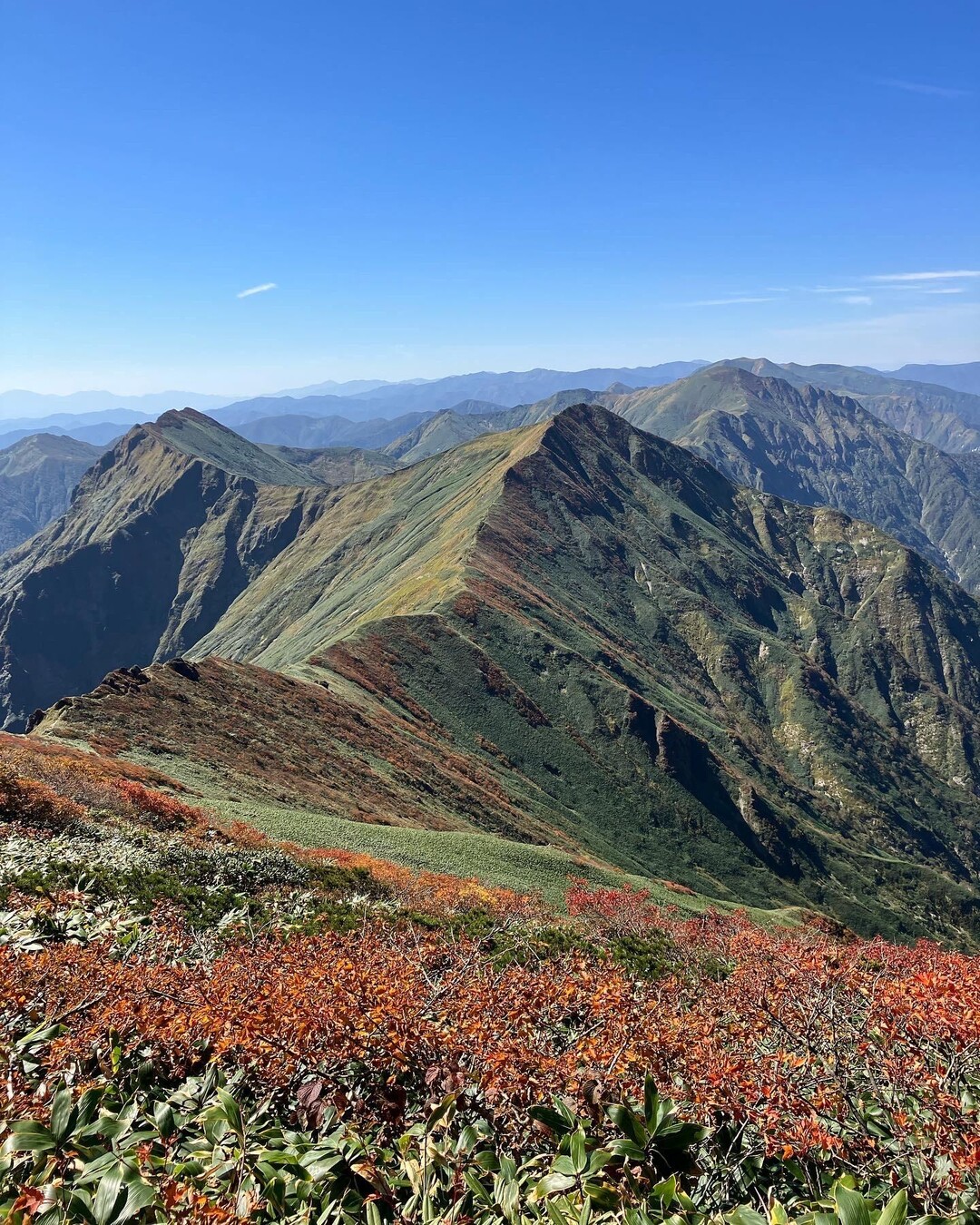 紅葉狩り🍁🍁谷川岳〜西黒尾根コースを... / さなさんのモーメント | YAMAP / ヤマップ