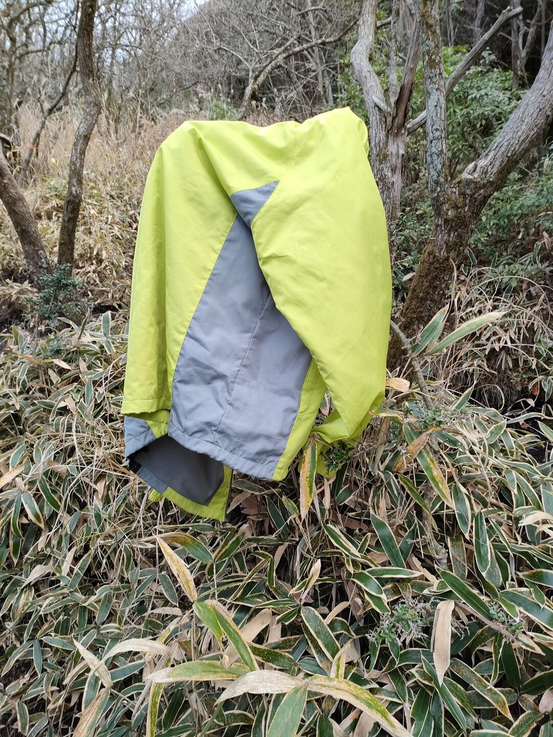 you1 さんの投稿したフィールドメモ | YAMAP / ヤマップ