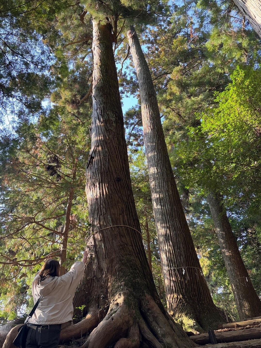 千葉山・智満寺参拝-2025-01-23 / akeppさんの千葉山・白岩寺山の活動データ | YAMAP / ヤマップ