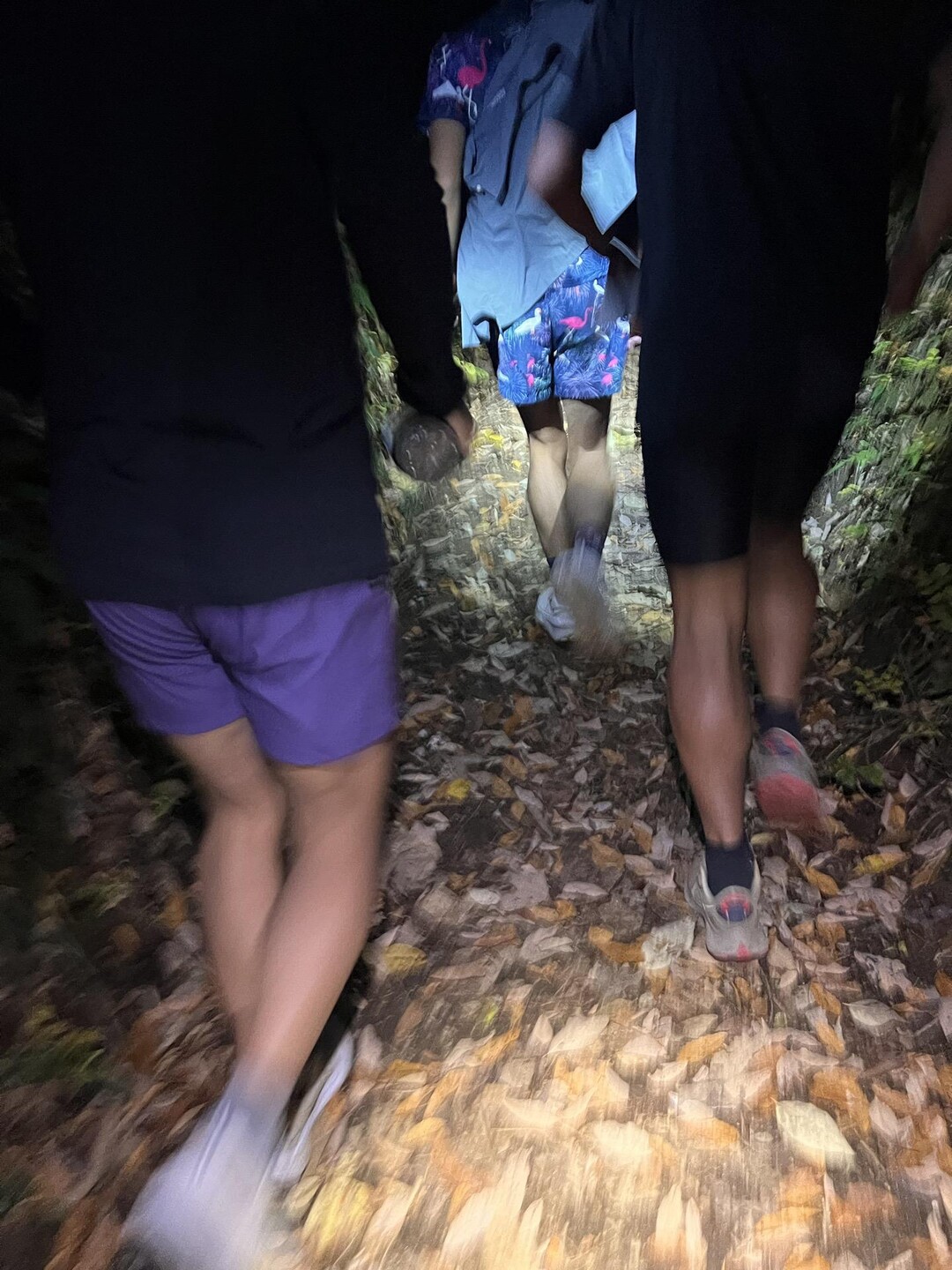 水曜東山練 / yuichiroさんの鋸山・三ノ峠山・八方台の活動データ | YAMAP / ヤマップ