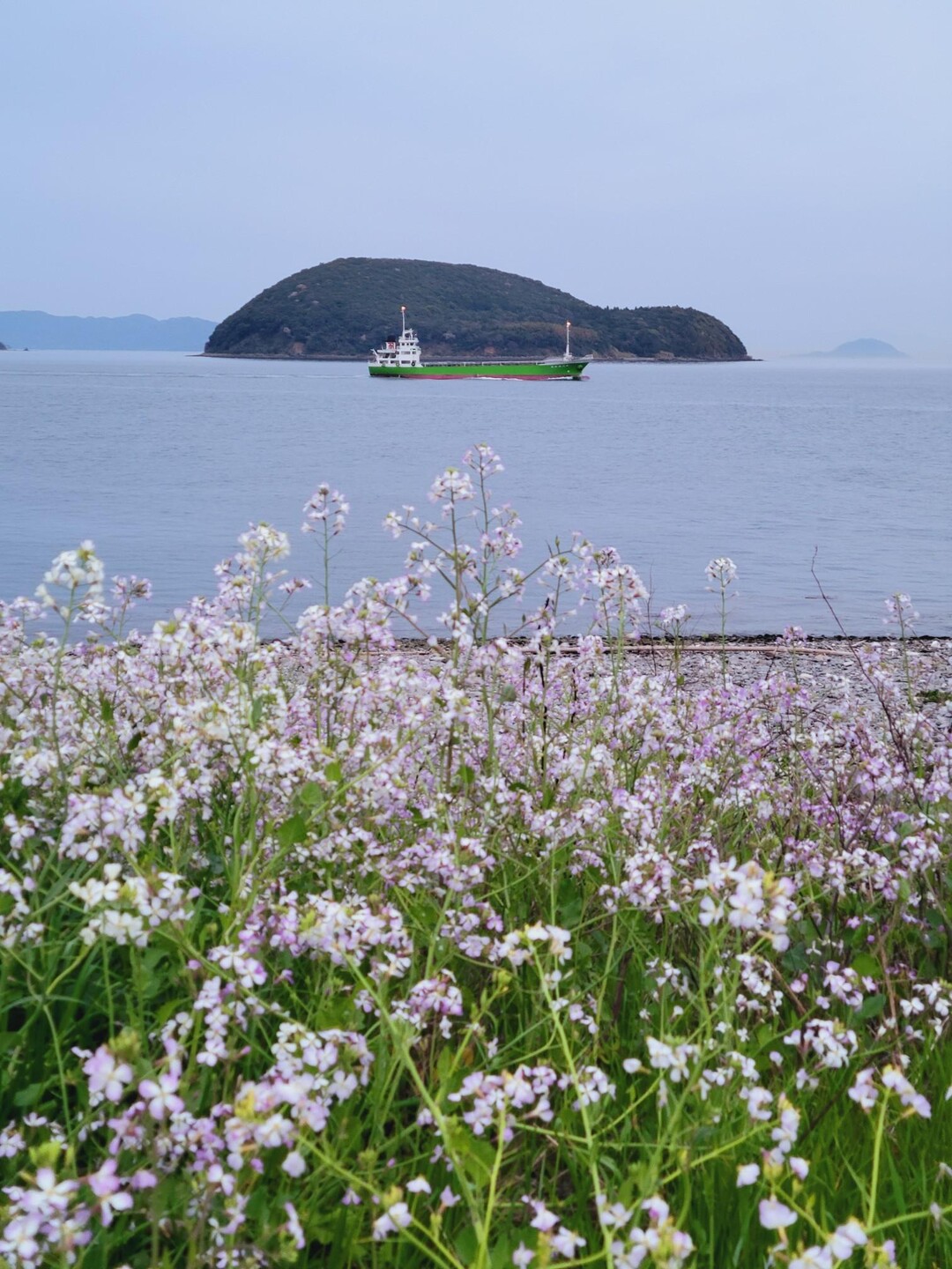 池の浦神社から 平家合戦夢の跡 / shigeyoさんの皇座山・大星山・上盛山の活動データ | YAMAP / ヤマップ