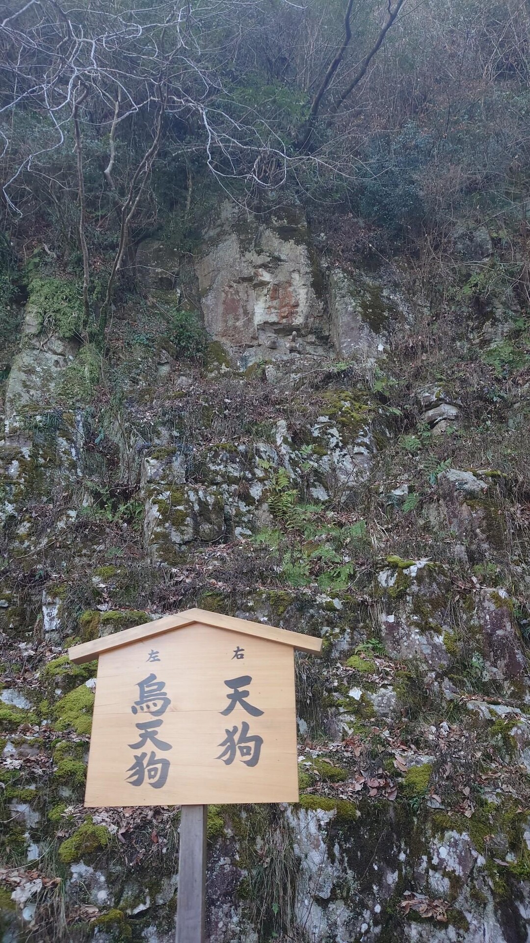 blackmoreさんの投稿したフィールドメモ | YAMAP / ヤマップ