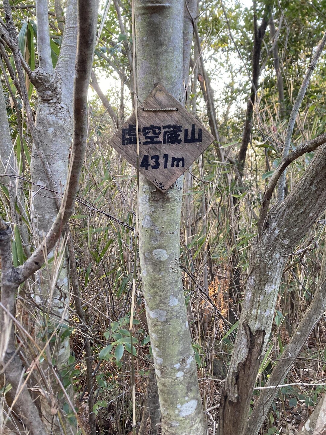 虚空蔵山 / cbmdさんの蚊無奥山の活動データ | YAMAP / ヤマップ