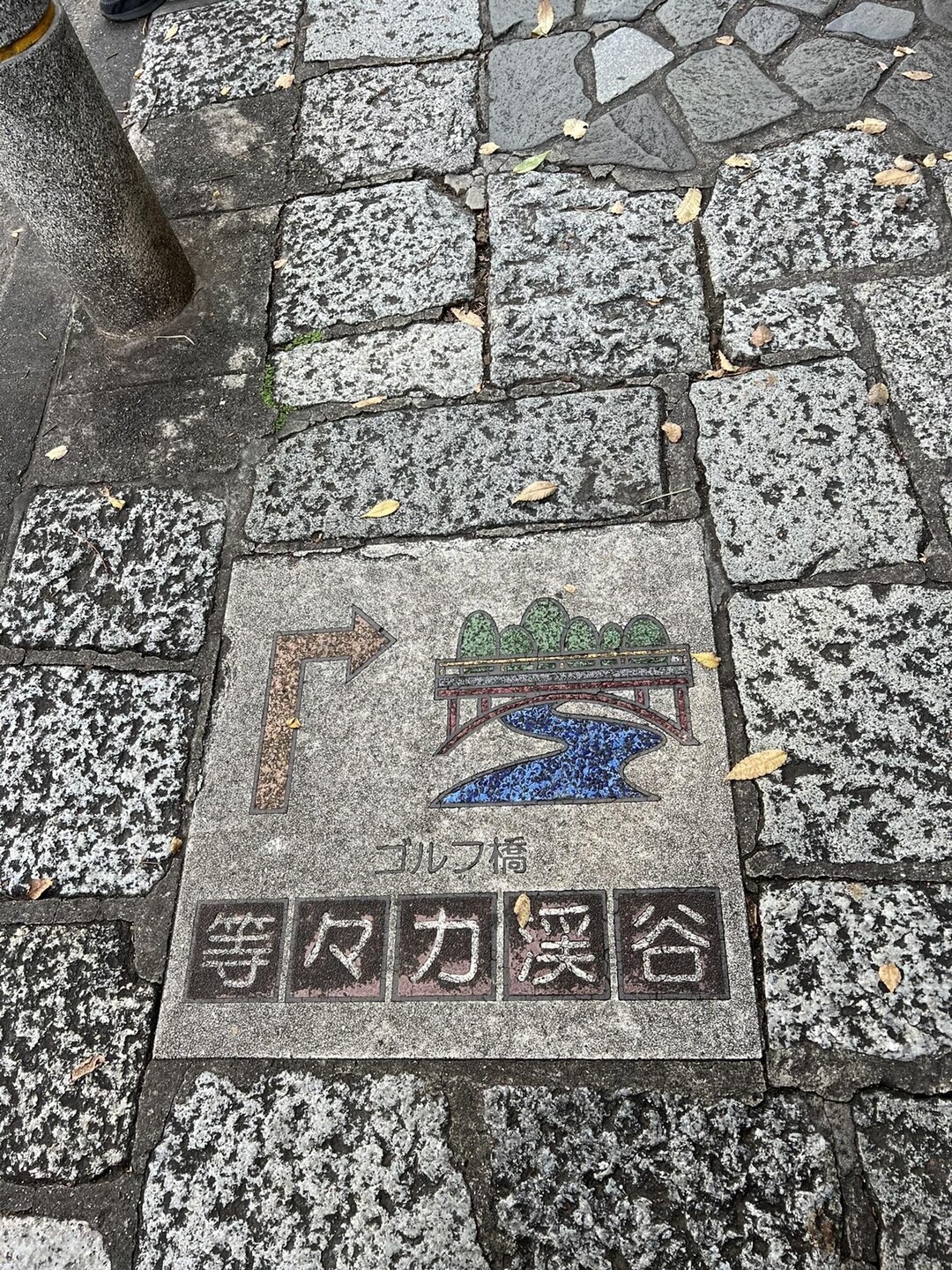 お婿ちゃんが作ってくれたホウレン草のパス... / keiさんのモーメント | YAMAP / ヤマップ