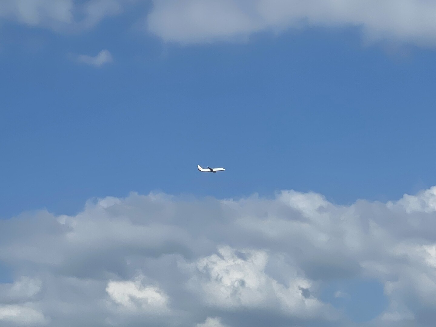 そら・空・SORA / 海月さんのモーメント | YAMAP / ヤマップ