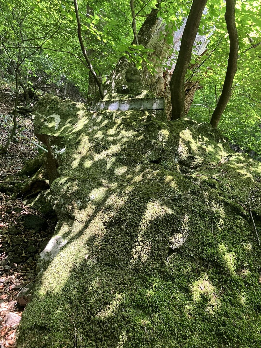 両神山 / motoh698さんの両神山・諏訪山・二子山の活動データ | YAMAP / ヤマップ