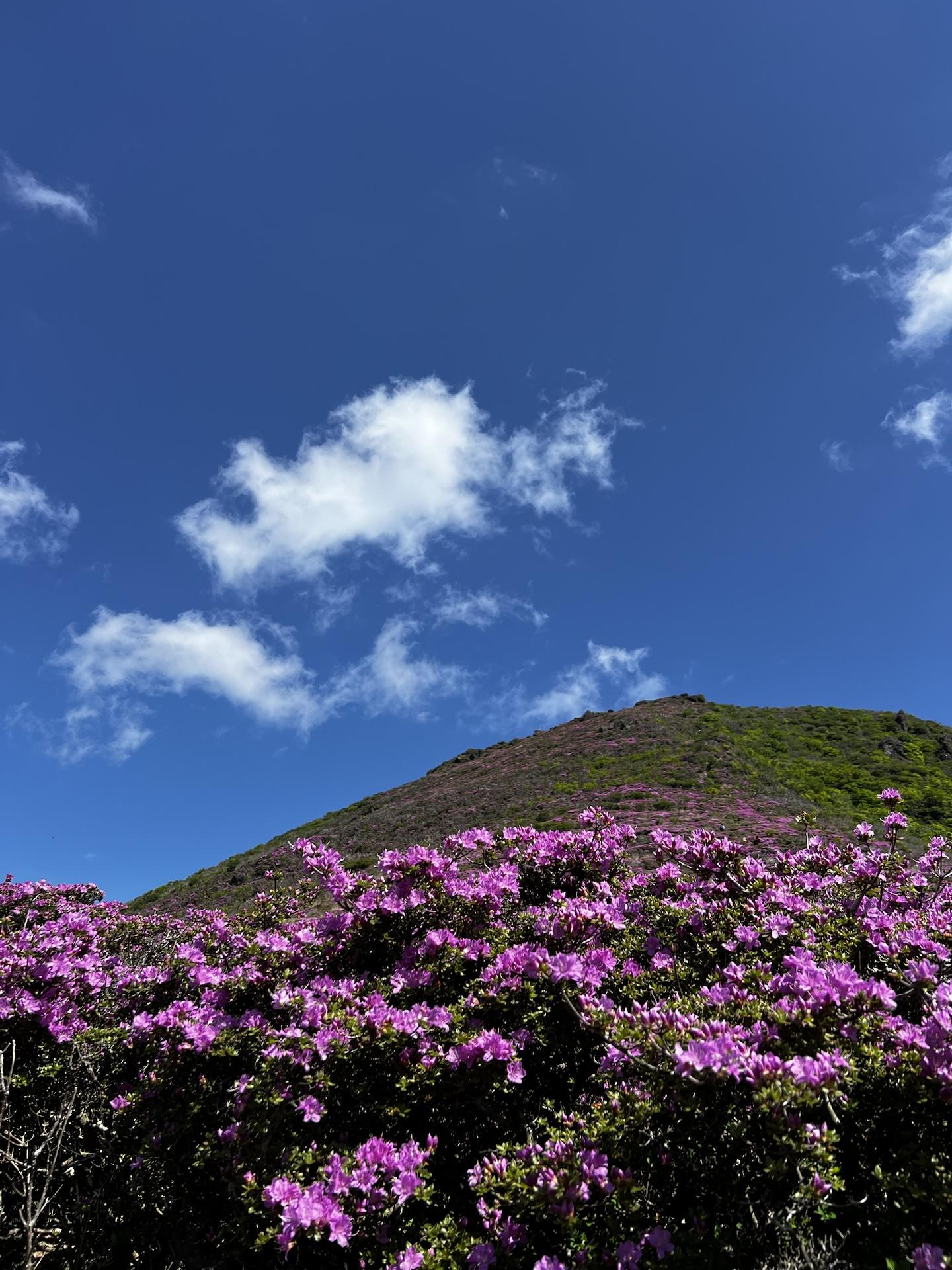 平治岳 / mocoさんの九重山（久住山）・大船山・星生山の活動データ | YAMAP / ヤマップ