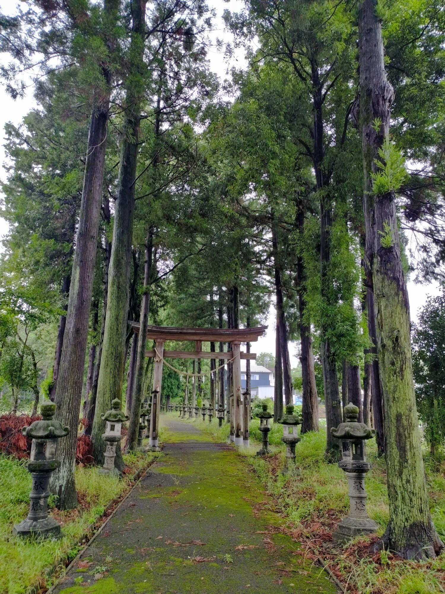 しとしとと雨の中を走る。ランナーはそれを... / masaさんのモーメント | YAMAP / ヤマップ