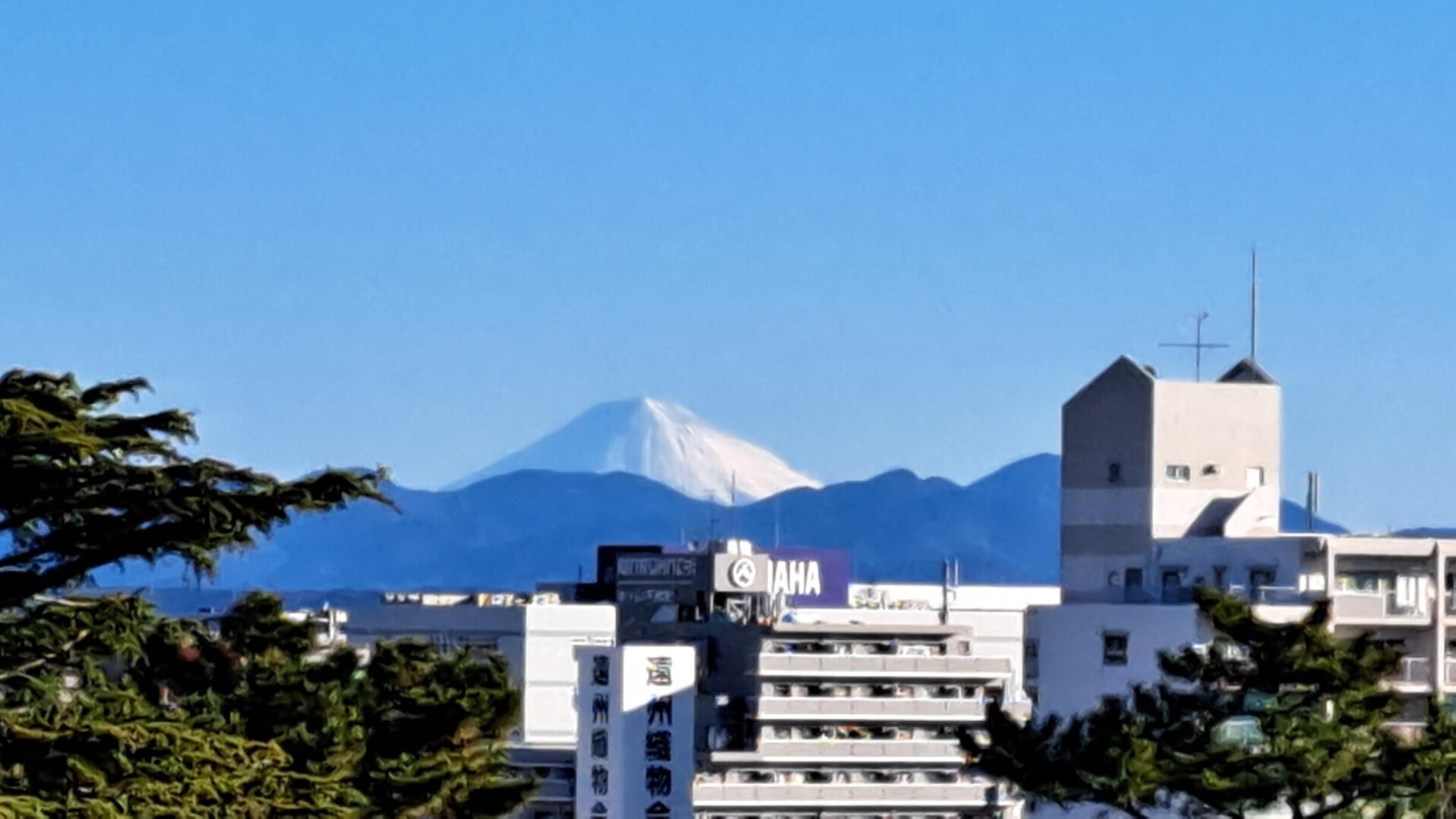 続百名城の 浜松城(二回目 続百名城認定... / mask_of_naoさんのモーメント | YAMAP / ヤマップ