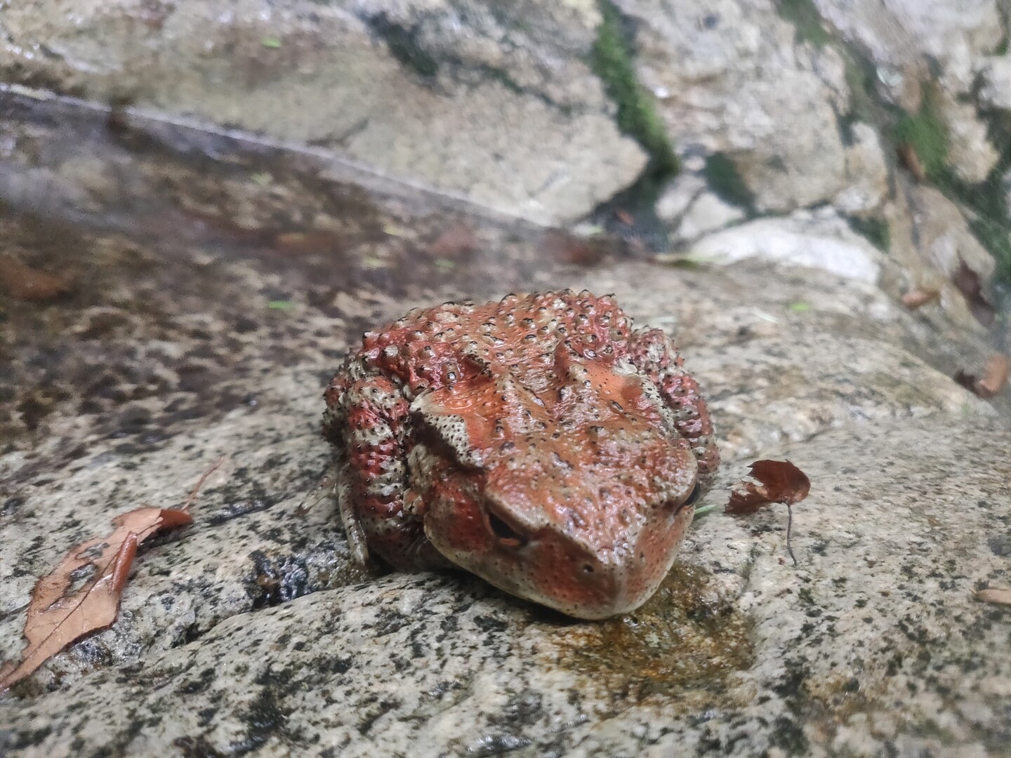 NKNMのページ | YAMAP / ヤマップ