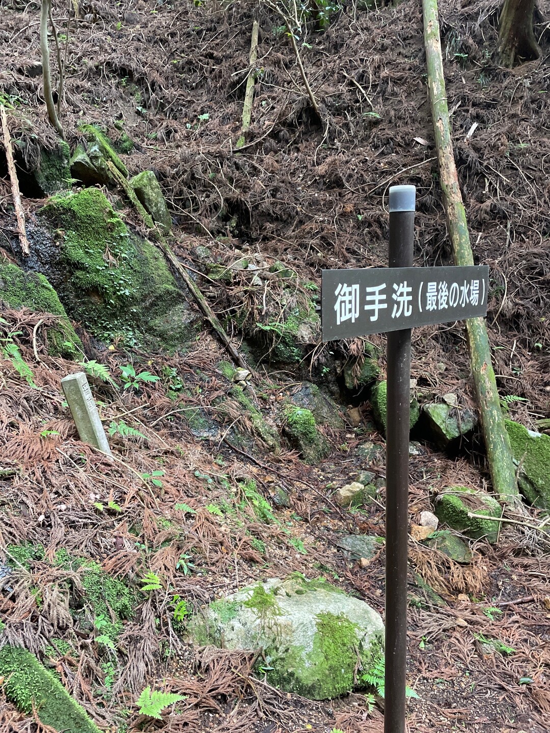 Marry🐾さんの投稿したフィールドメモ | YAMAP / ヤマップ