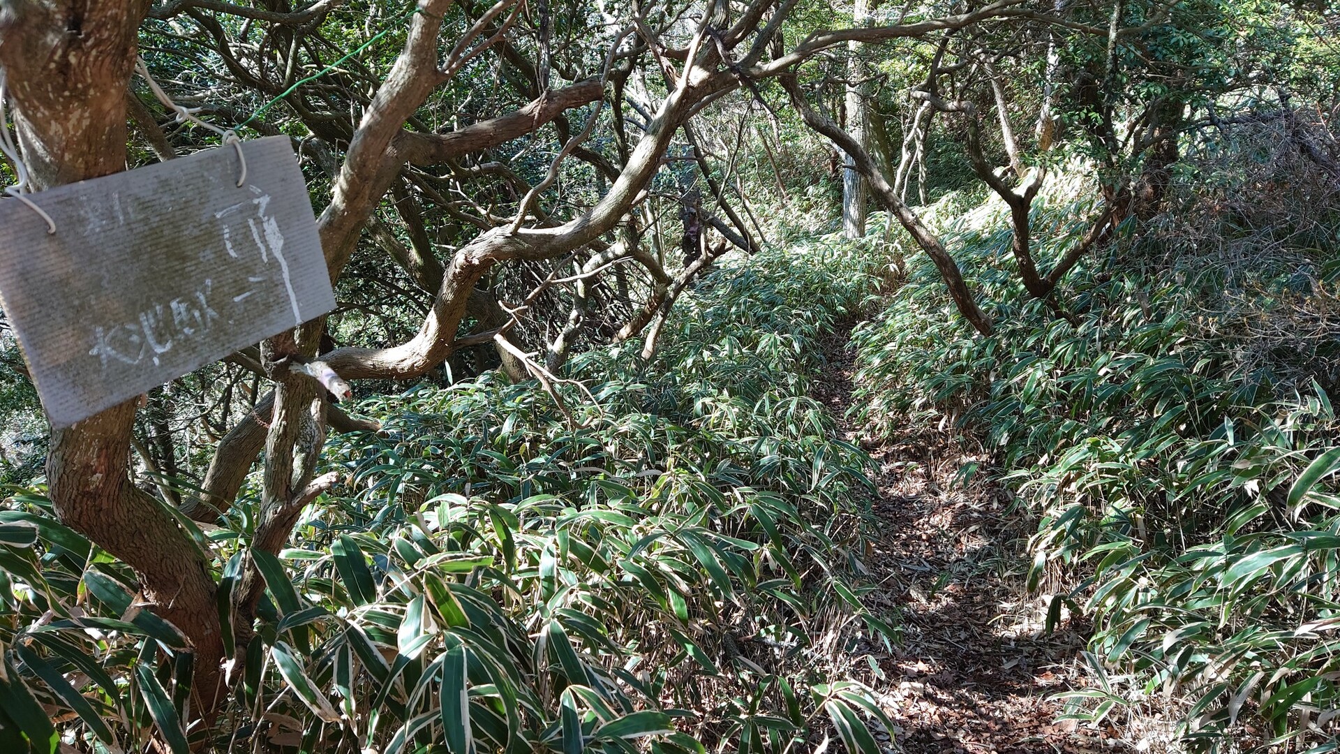 秀峰さんの投稿したフィールドメモ | YAMAP / ヤマップ