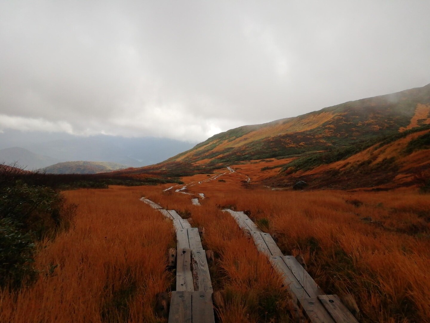 紅葉登山 山頂は荒天🌀 / 大黒森PJ(旧FCドロンパ)さんの月山の活動データ | YAMAP / ヤマップ