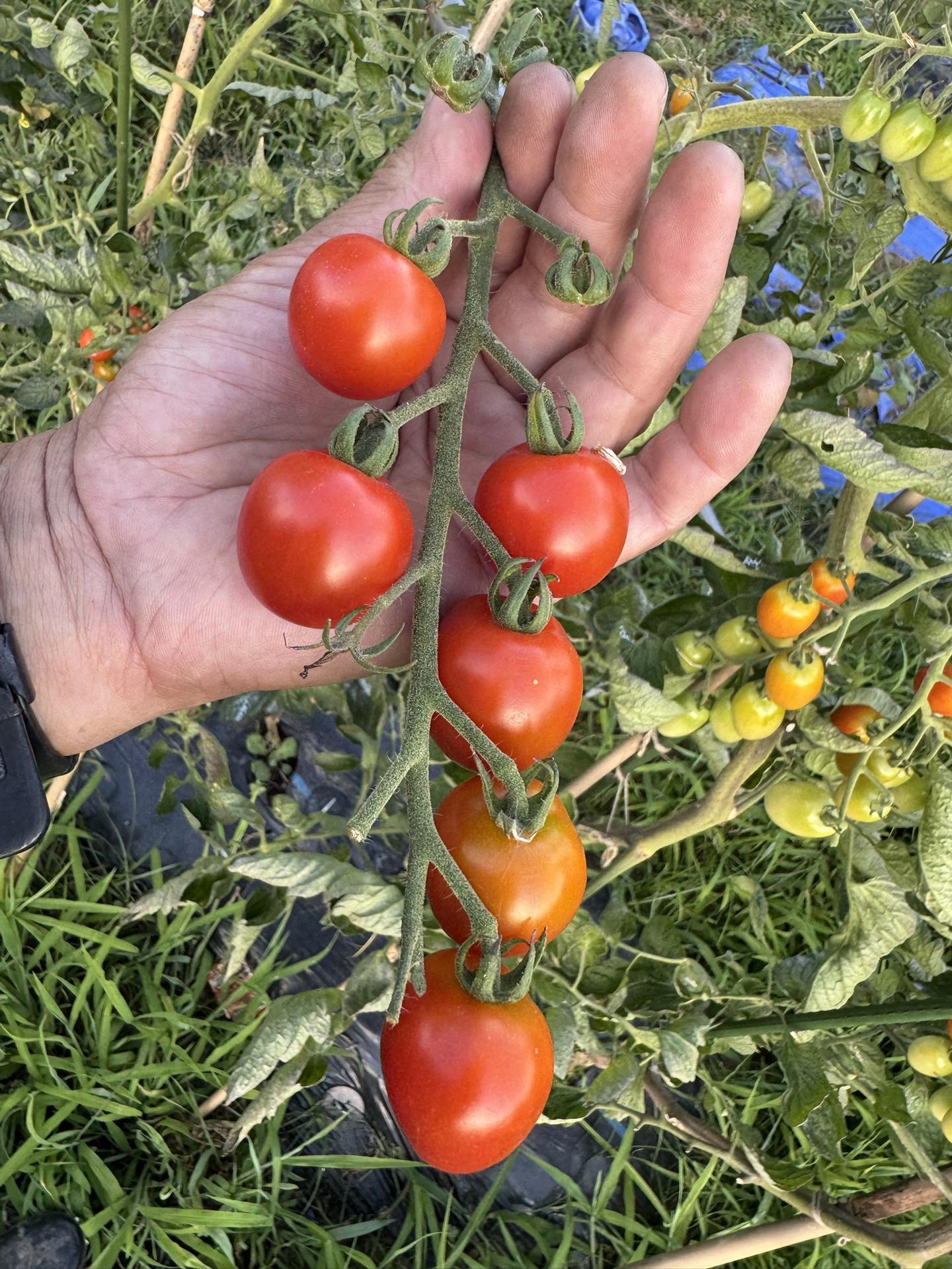 天気予報見ないとダメ🙅‍♂️-2025-07-12 / Yamaji88さんの八面山の活動データ | YAMAP / ヤマップ