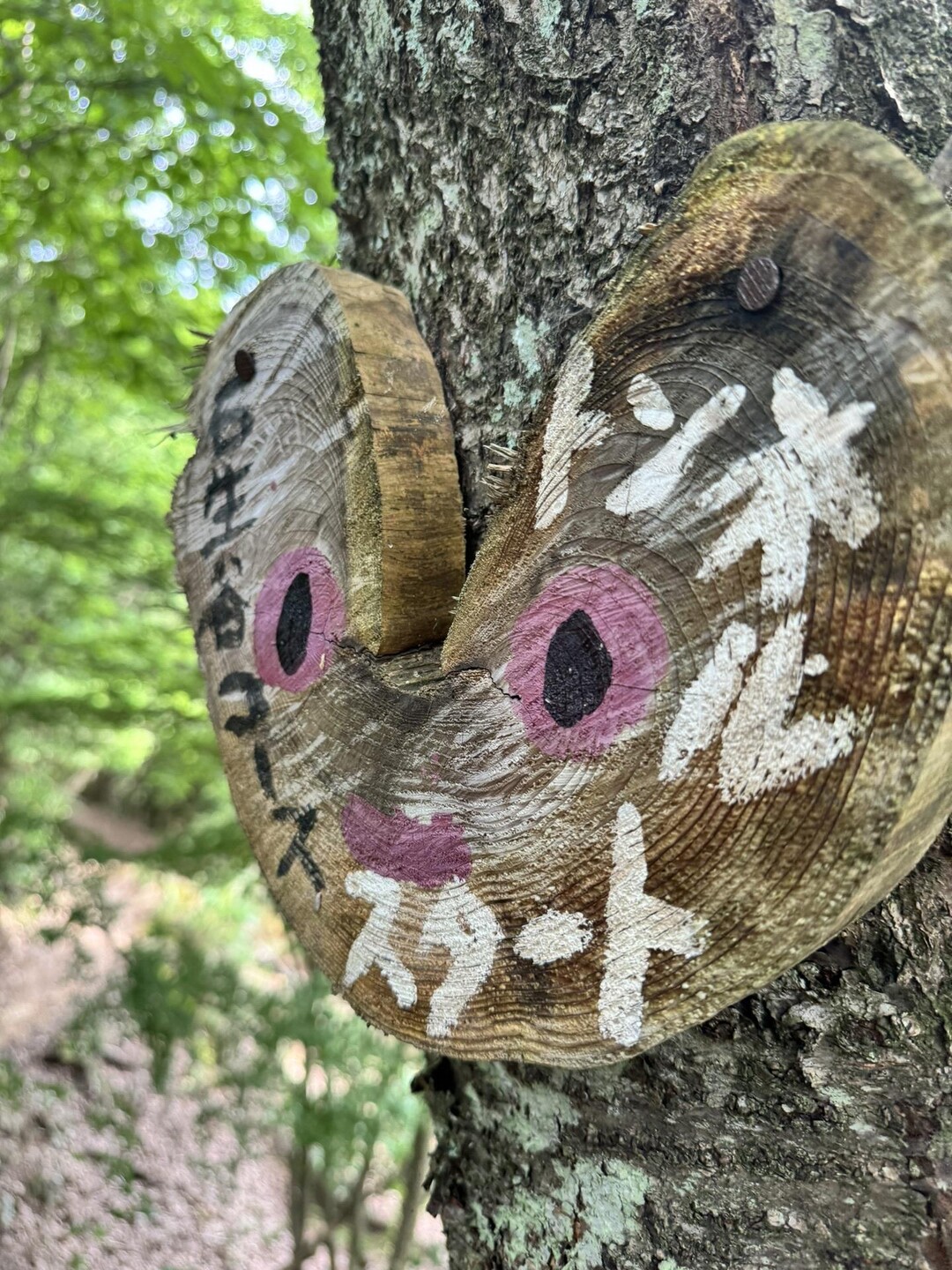 三床山 / TOMさんの三床山・牧山・幸山の活動日記 | YAMAP / ヤマップ