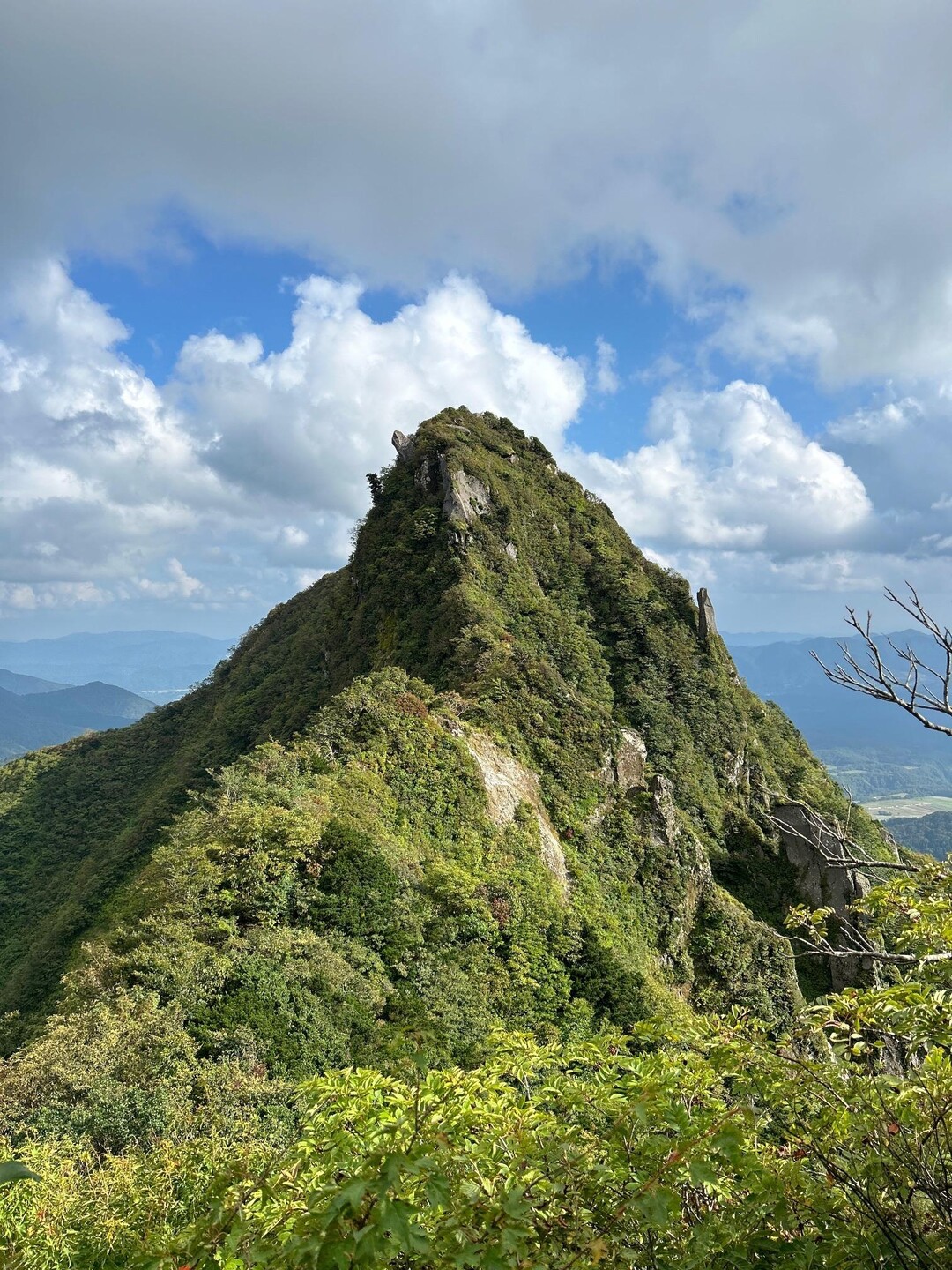 象山(笹ヶ峰)〜烏谷〜烏ヶ山藪漕ぎ周回🌿 / rumicoさんの烏ヶ山・象山（笹ヶ峰）の活動データ | YAMAP / ヤマップ