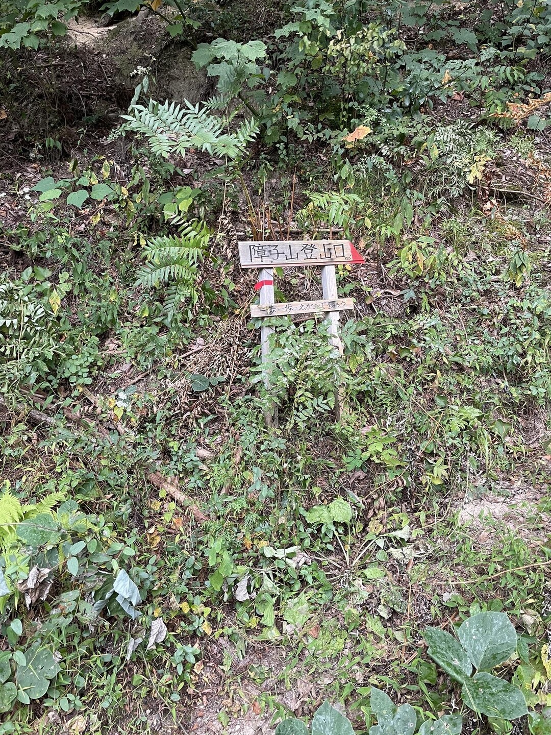 障子山 / sin-naさんの障子山の活動データ | YAMAP / ヤマップ