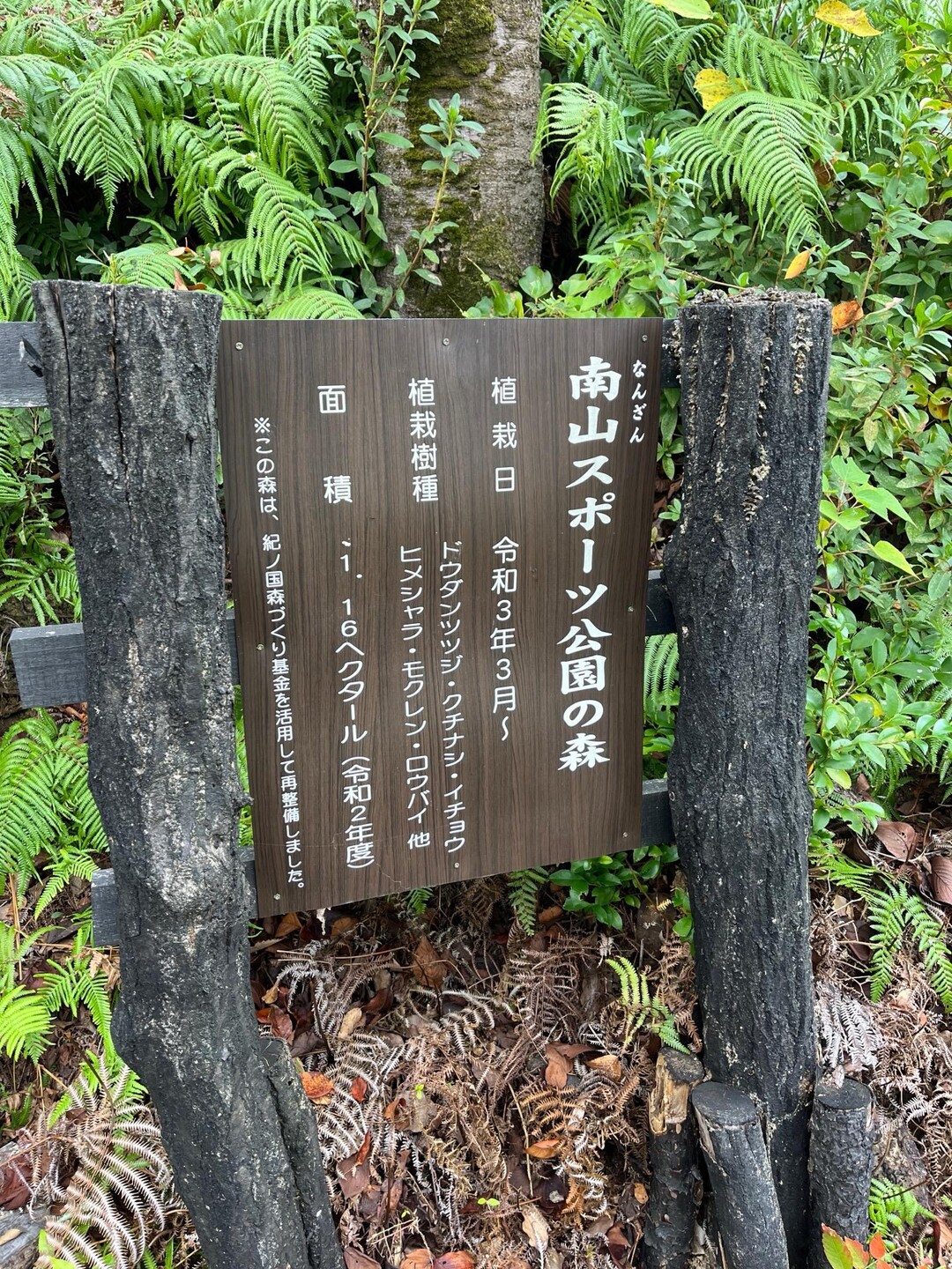 南山スポーツ公園の森-2024-11-15 / 小出 悠真さんのウォーキングの活動データ | YAMAP / ヤマップ