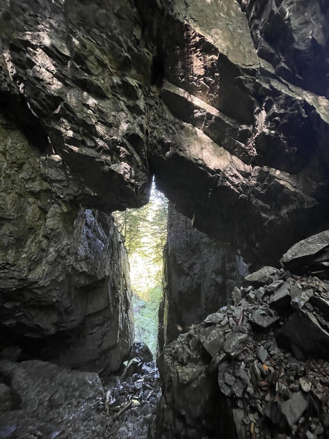 憧れの双門ルート🥹 / テツGさんの八経ヶ岳の活動データ | YAMAP / ヤマップ