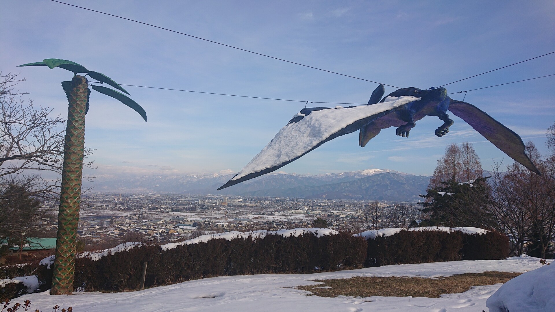 茶臼山 / mastankさんの長野市の活動データ | YAMAP / ヤマップ