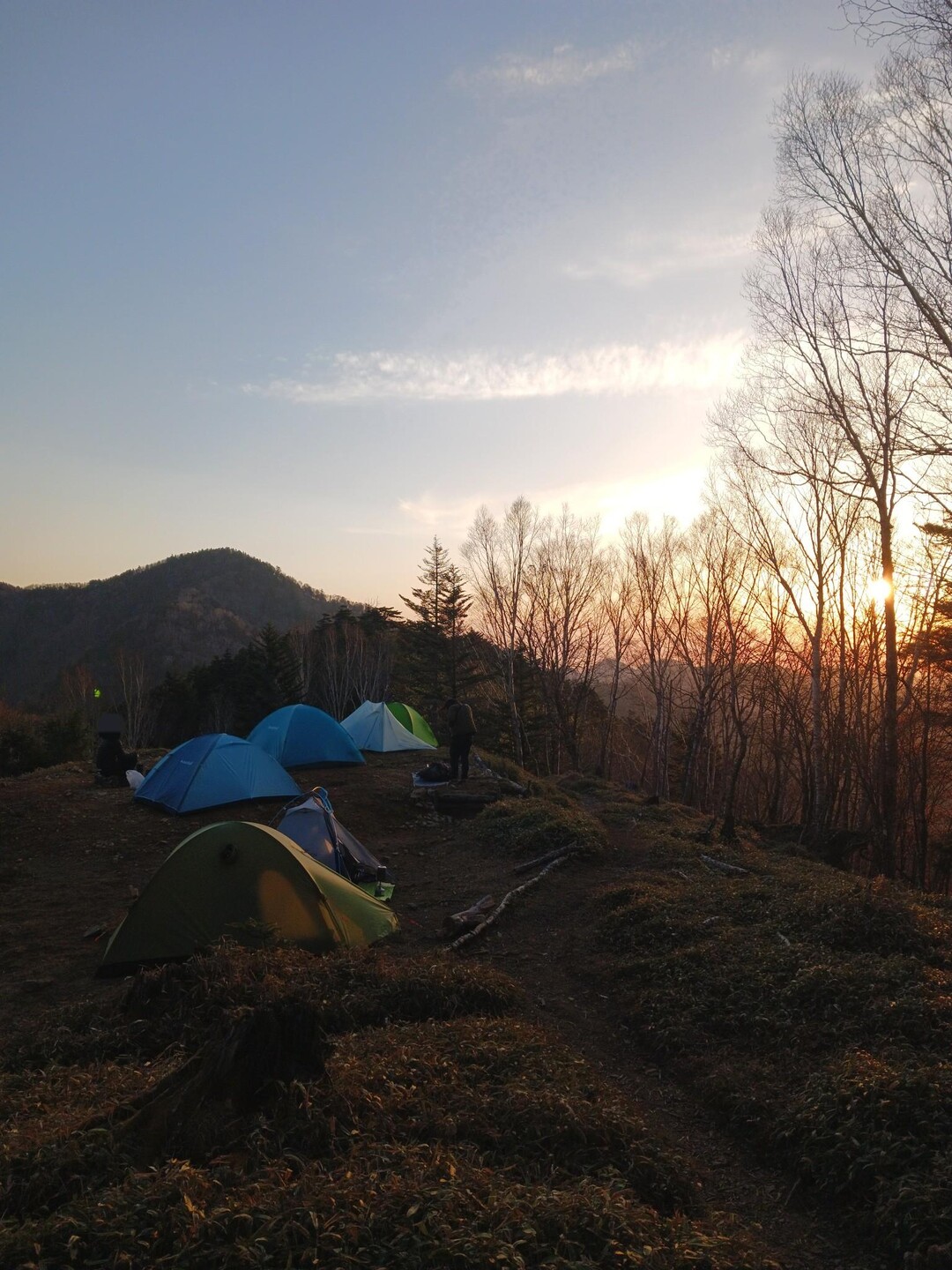 GW 5/4～5 雲取山(テント泊) / がんこさんの雲取山・鷹ノ巣山・七ツ石山の活動データ | YAMAP / ヤマップ