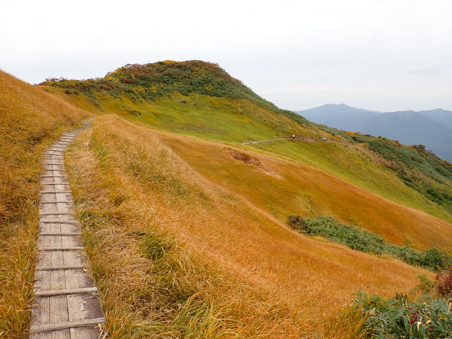 浅草岳（300名山） / noppoさんの浅草岳・鬼ヶ面山の活動データ | YAMAP / ヤマップ