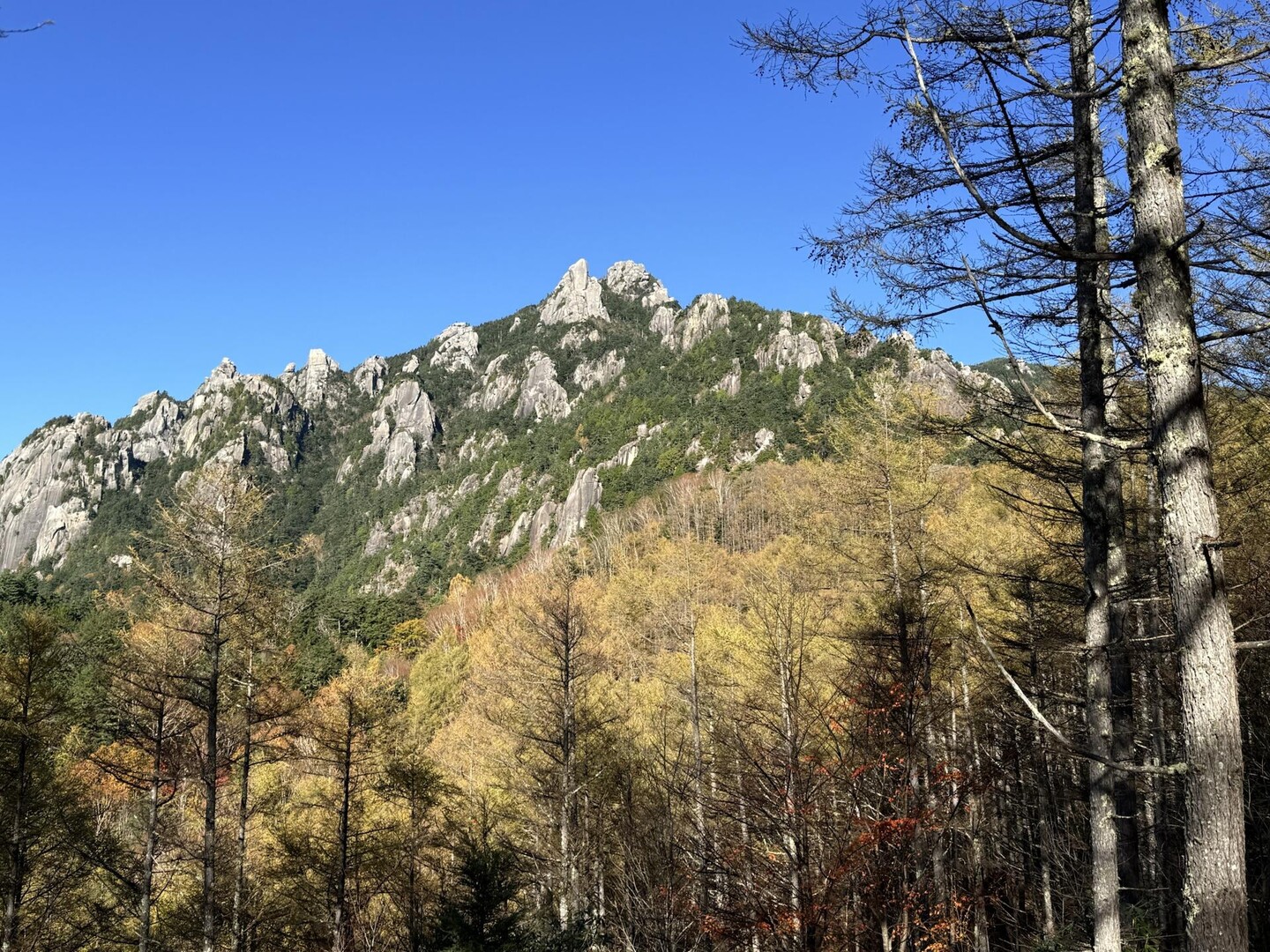 瑞牆山から金峰山ぐるり / Yoshio_KSKさんの瑞牆山・金峰山の活動データ | YAMAP / ヤマップ
