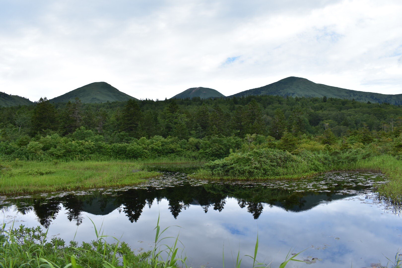 八甲田山（大岳）・井戸岳・赤倉岳 / t-timeさんの八甲田山・高田大岳・雛岳の活動データ | YAMAP / ヤマップ