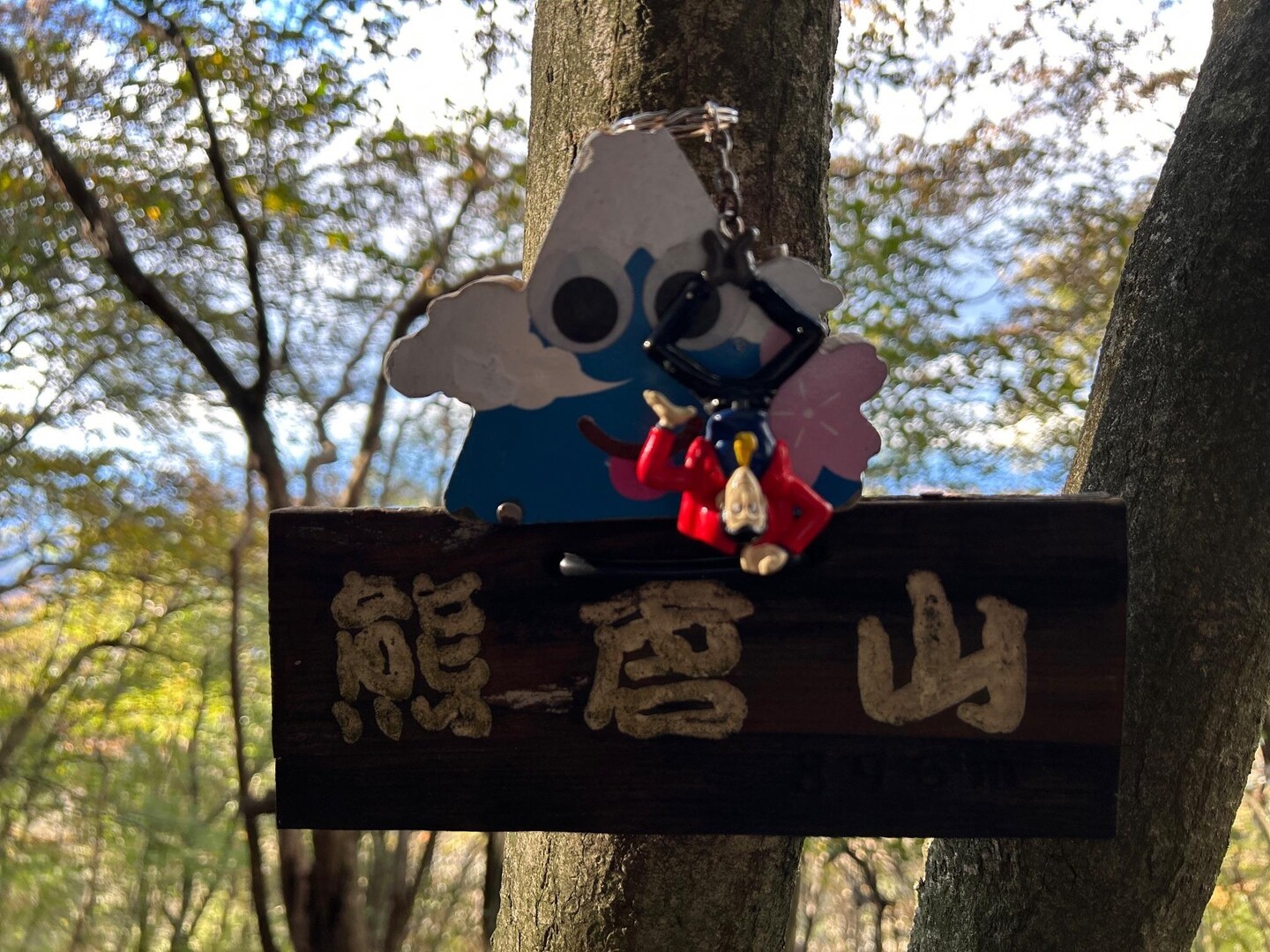 きゅうちゃんさんの投稿したフィールドメモ | YAMAP / ヤマップ