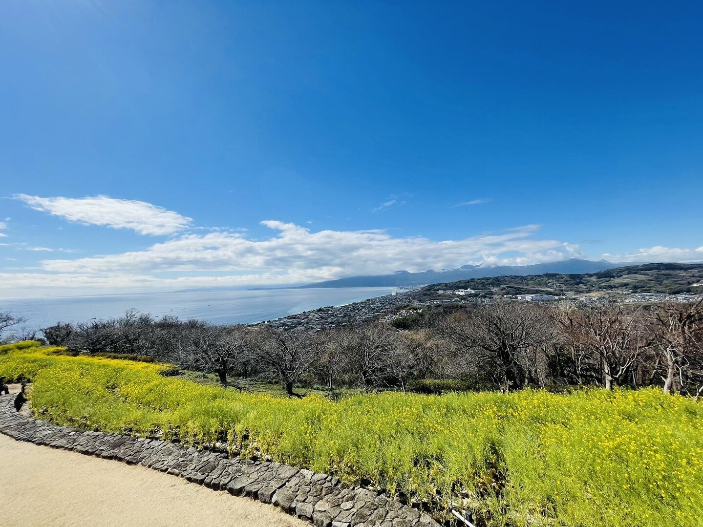 皆さんこんにちは😄 本日快晴で登山日和... / Mtrさんのモーメント | YAMAP / ヤマップ