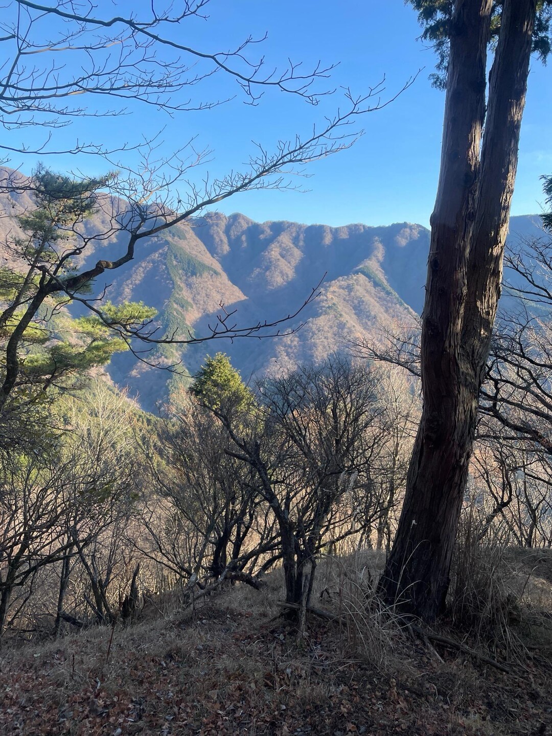 塔ノ岳→鍋割山 / Shoji-nさんの塔ノ岳・丹沢山・蛭ヶ岳の活動データ | YAMAP / ヤマップ
