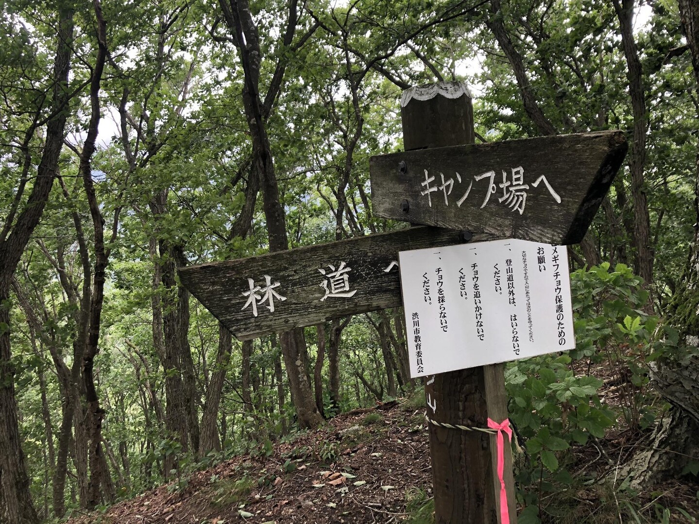 矢筈山・もろこし山・子双山 / necomaru Xさんの船ヶ鼻山の活動データ | YAMAP / ヤマップ