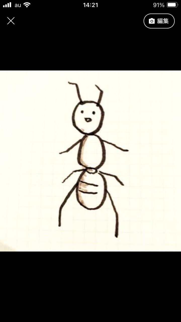 ariのページ | YAMAP / ヤマップ